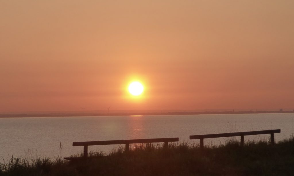 God pinse | Munkehøj Grundejerforening